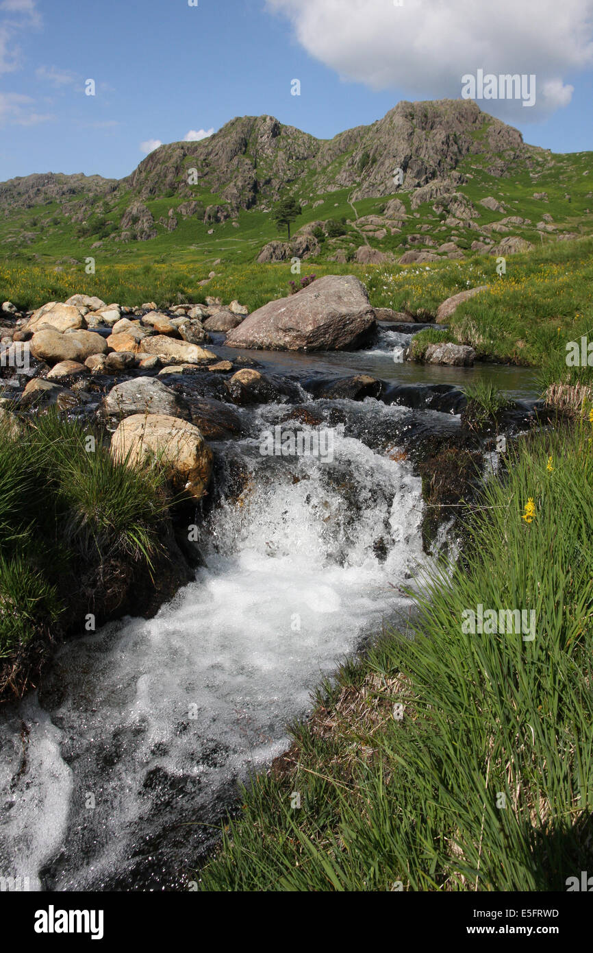 Tarn beck duddon hi-res stock photography and images - Alamy