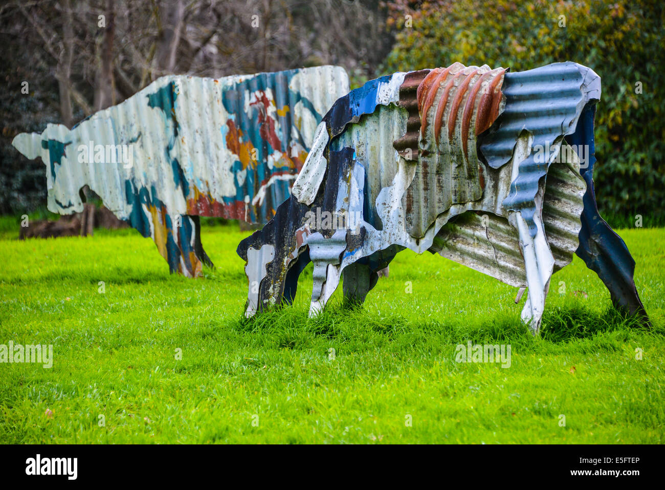 Heidi art gallery melbourne cows sculpture grazing in green field made ...
