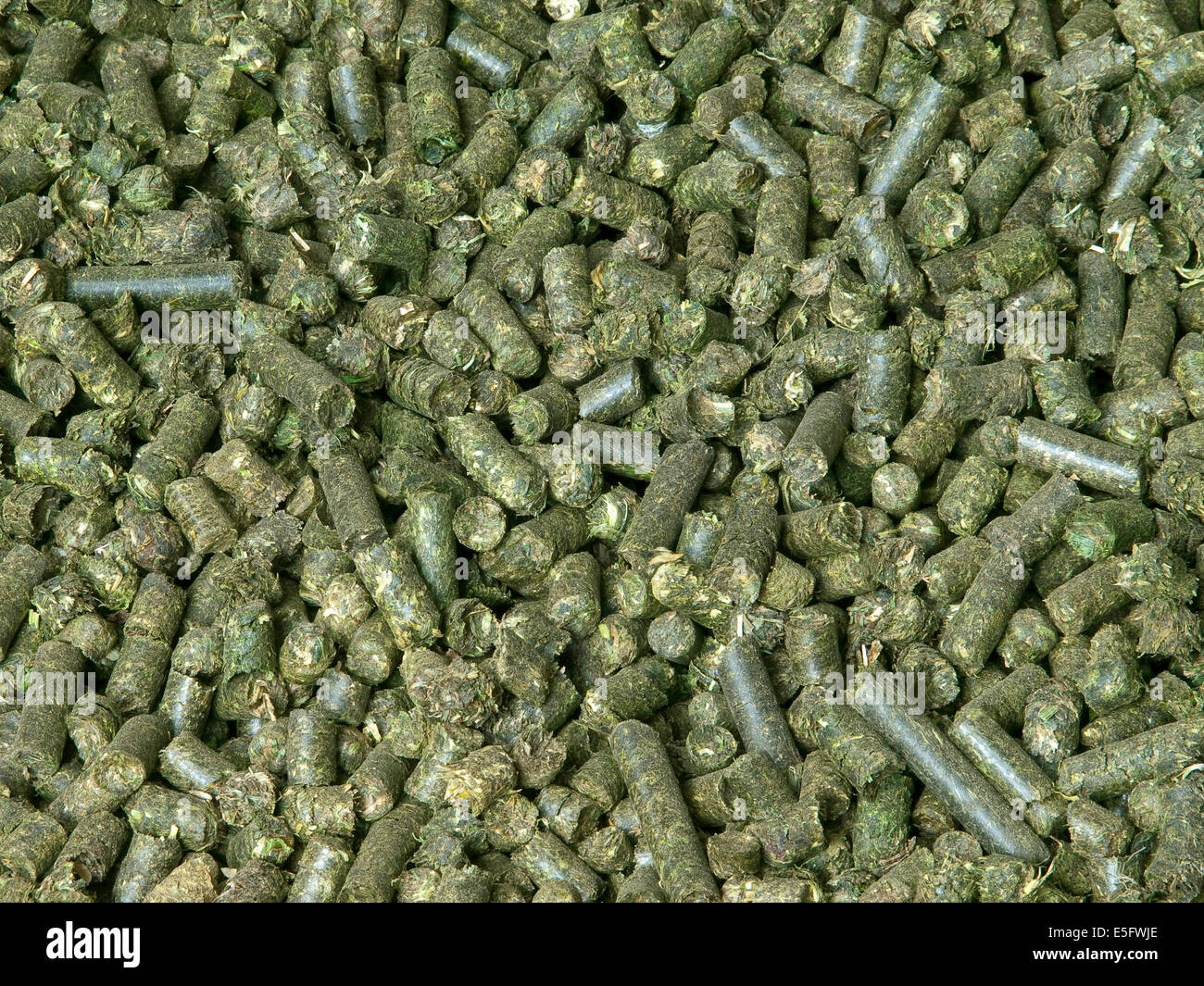 Animal food pellets Stock Photo - Alamy