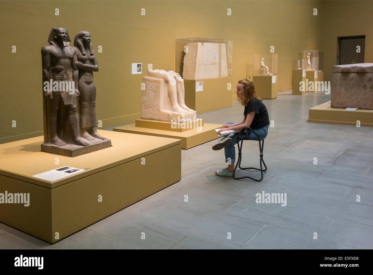 Statue collection room tour hi-res stock photography and images - Alamy