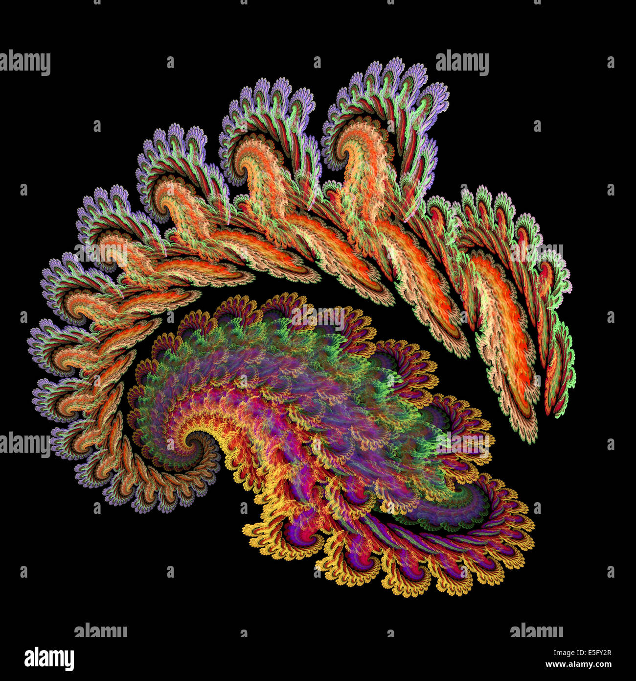 abstract fractal image resembling a 3d peacock snail spiral Stock Photo ...