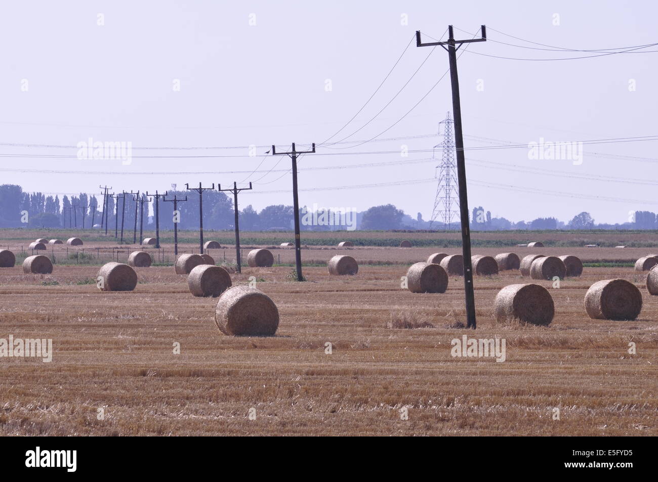 harvest field east of Outwell, Norfolk Fens, UK Stock Photo - Alamy