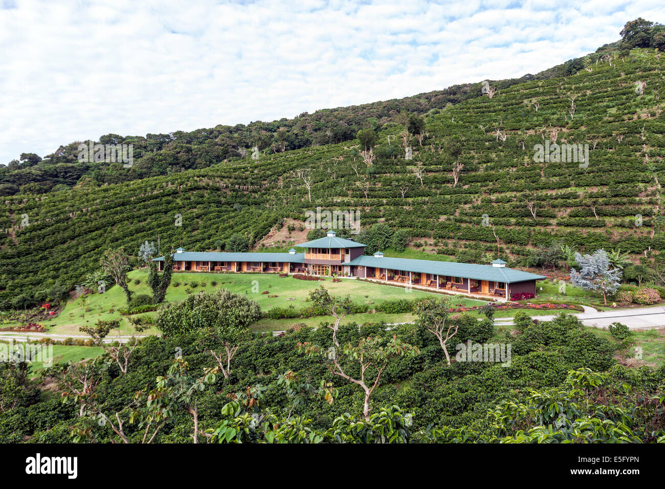Hotel Finca Lerida Coffee Plantation and Boutique Hotel. Boquete Stock ...