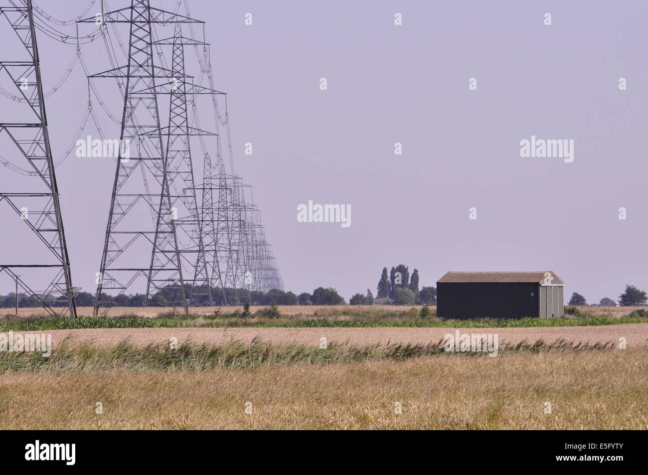Pylons north-east of Outwell in the Norfolk fens Stock Photo - Alamy