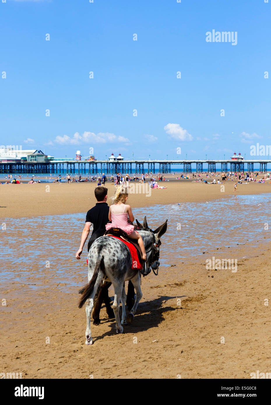 Donkey Rides On A Beach High Resolution Stock Photography and Images ...