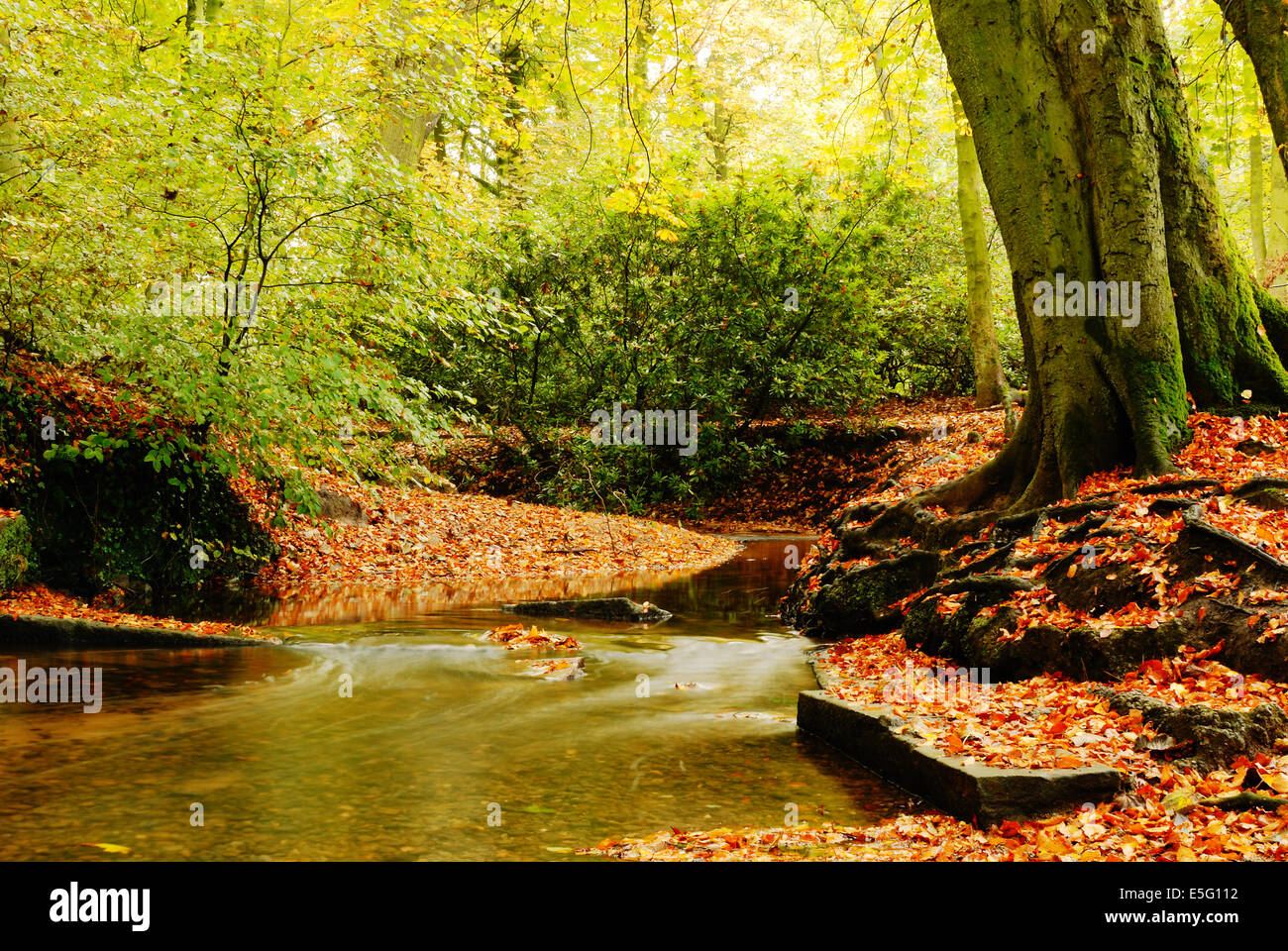 Fall River Bank Stock Photo - Alamy