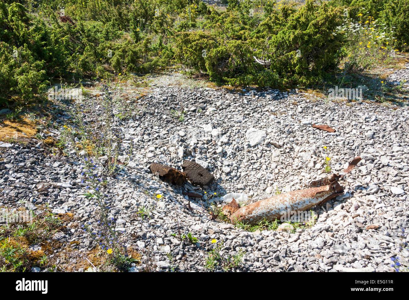 Old rusty bomb or missile on the ground Stock Photo - Alamy