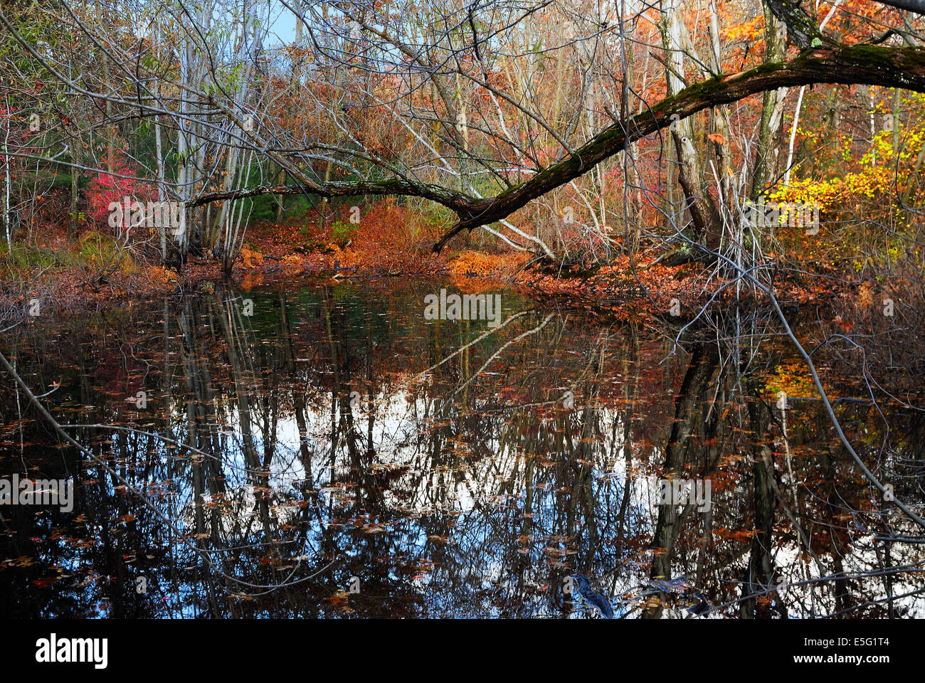 Reflection on a Fall Lake Stock Photo - Alamy