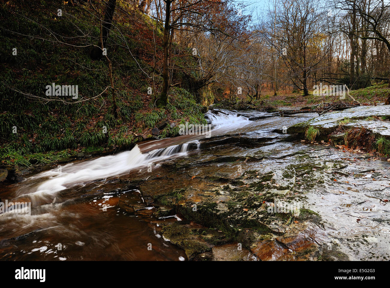 Fast flowing Spring Stream Stock Photo - Alamy