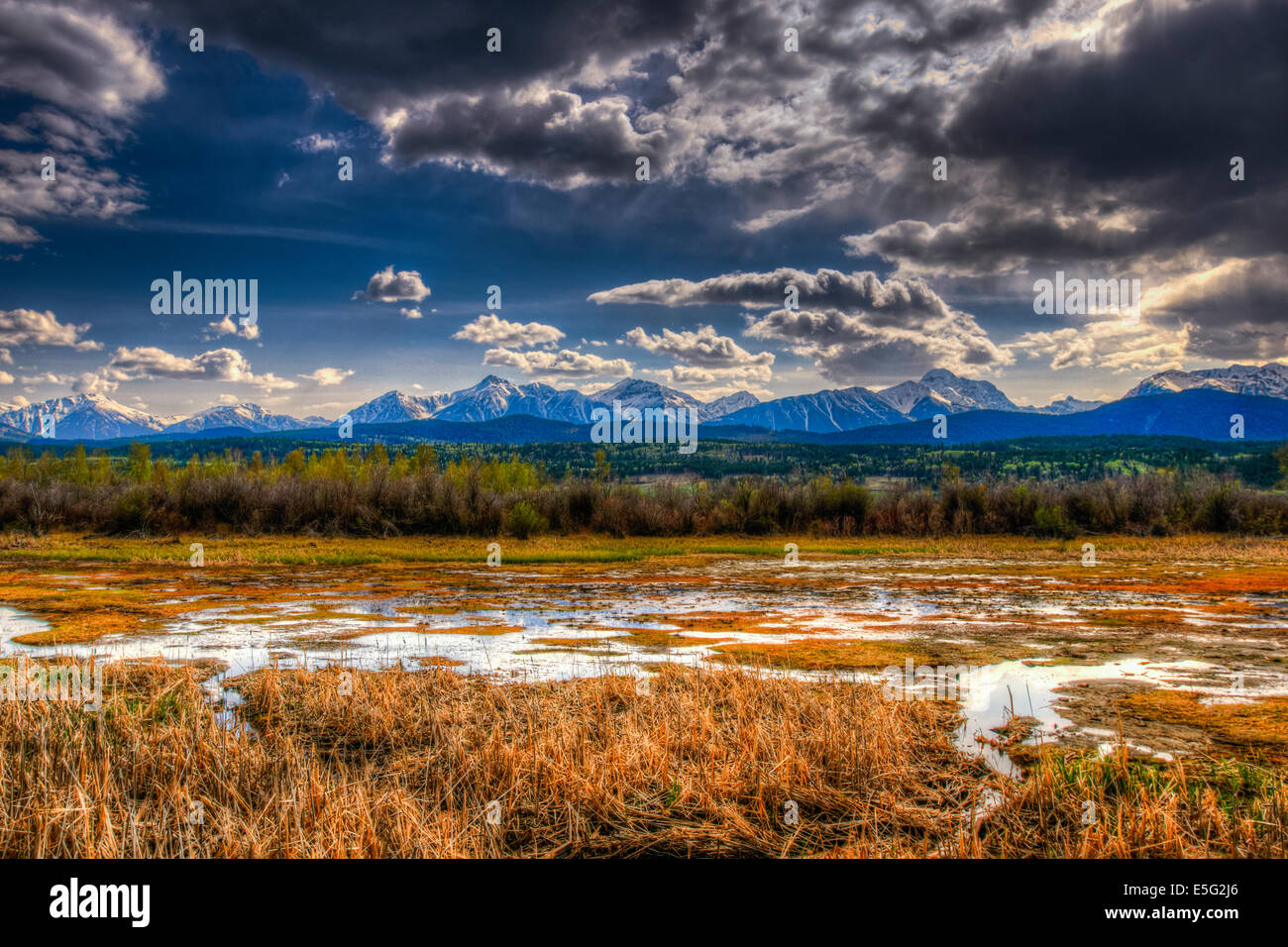 Wetlands marsh hi-res stock photography and images - Alamy
