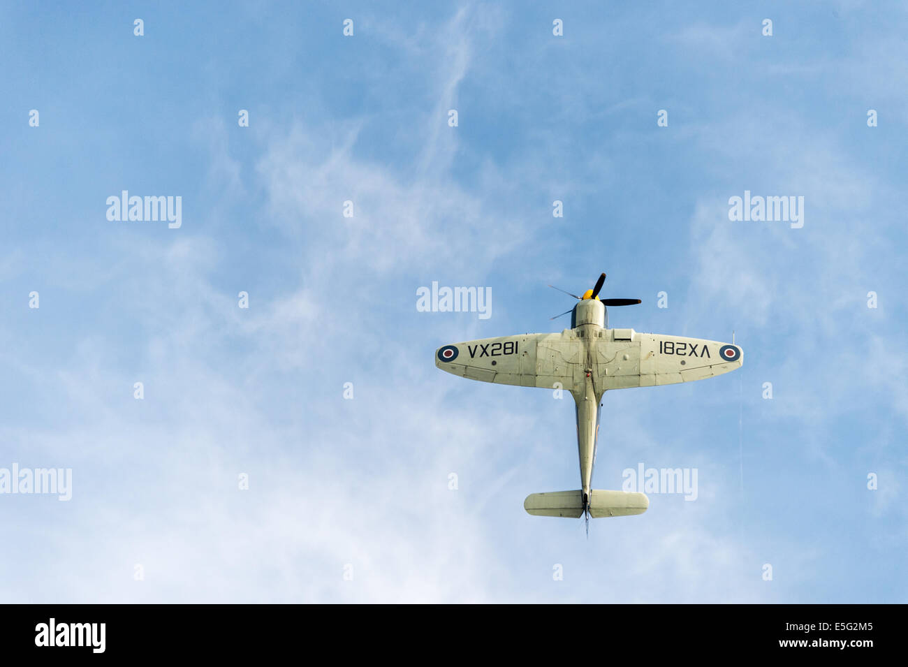Hawker sea fury hi-res stock photography and images - Alamy