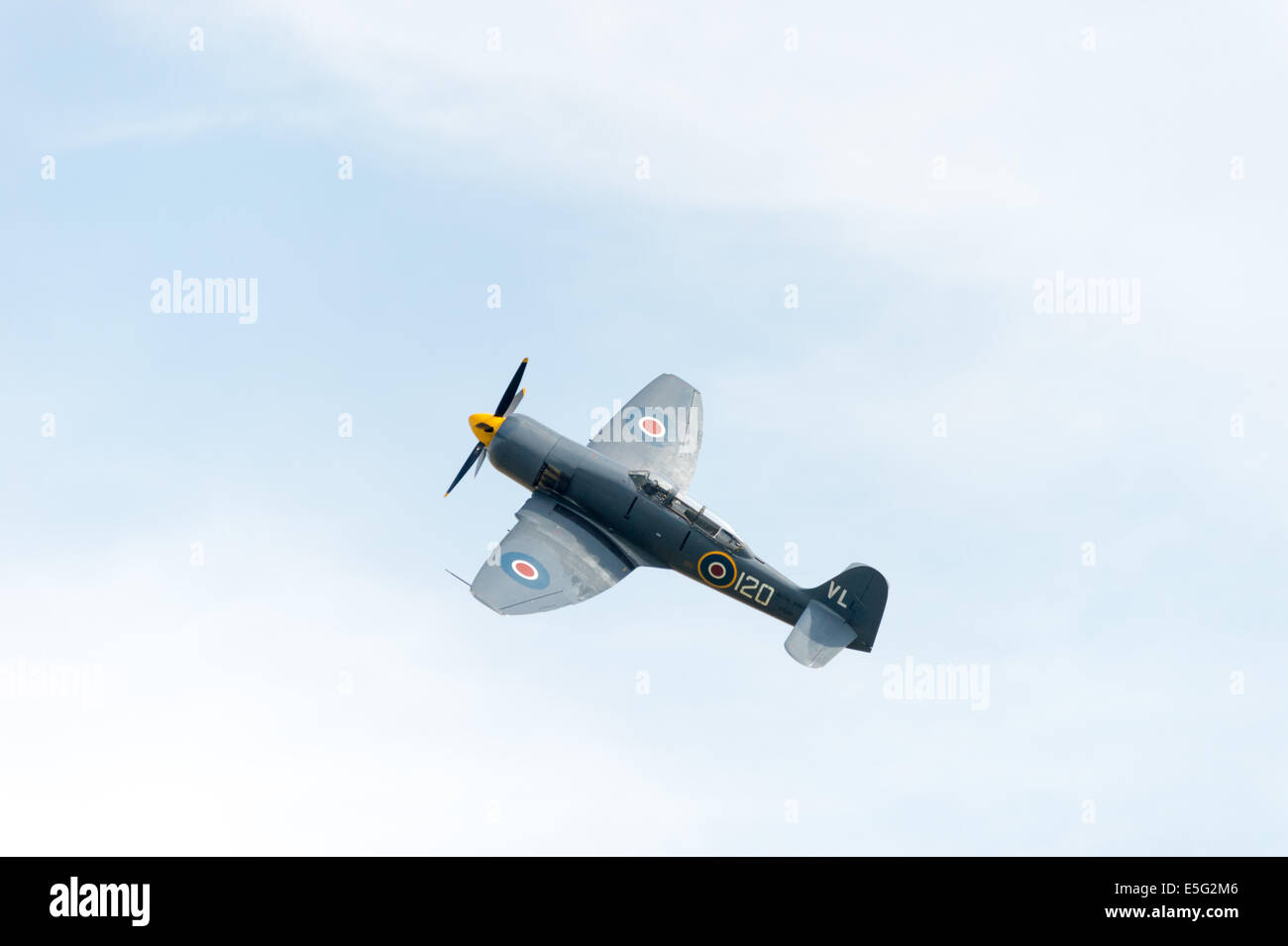Hawker sea fury climbing at flying legends airshow Stock Photo - Alamy