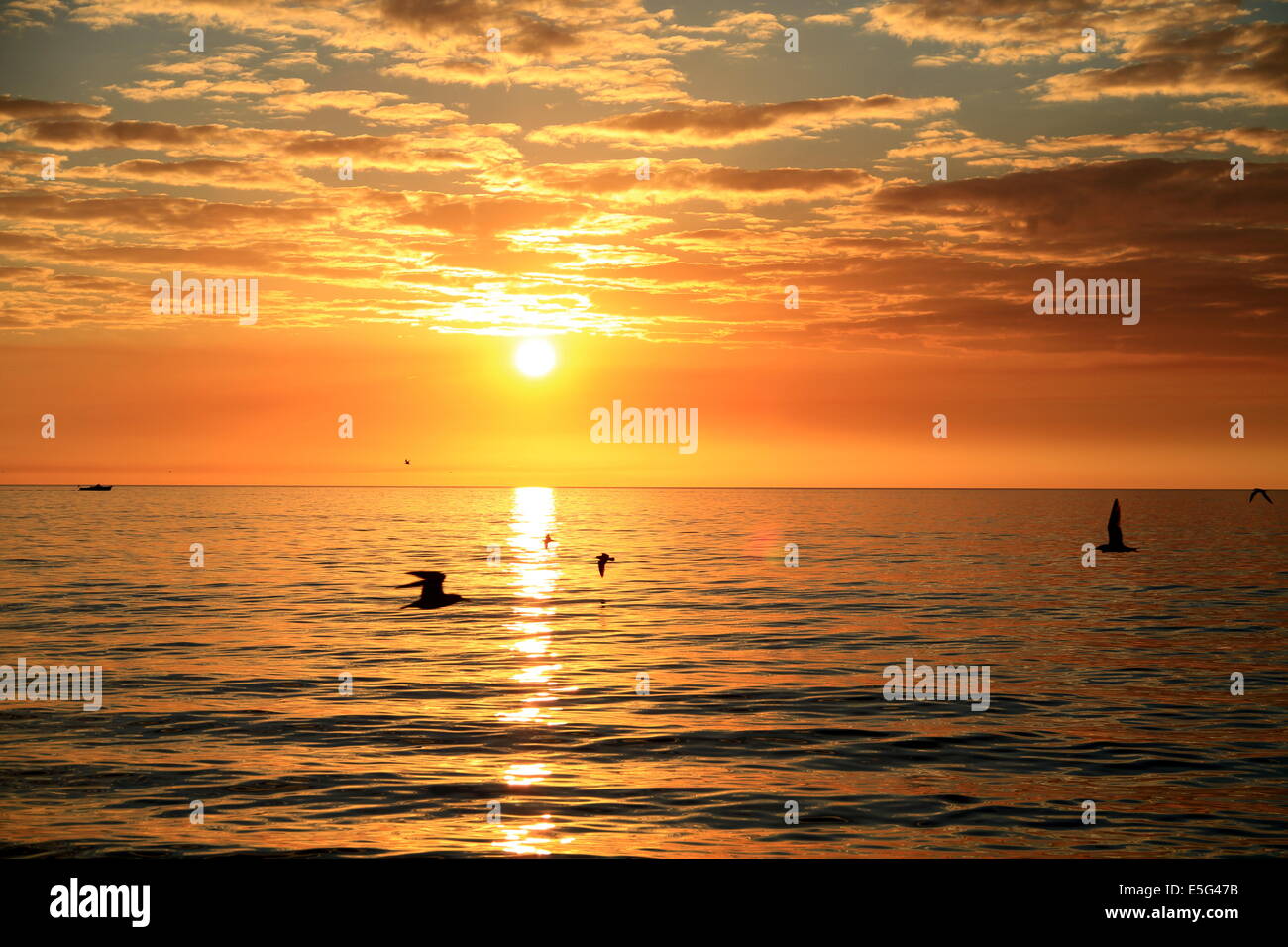 Quiet lapping waves at sunset hi-res stock photography and images - Alamy