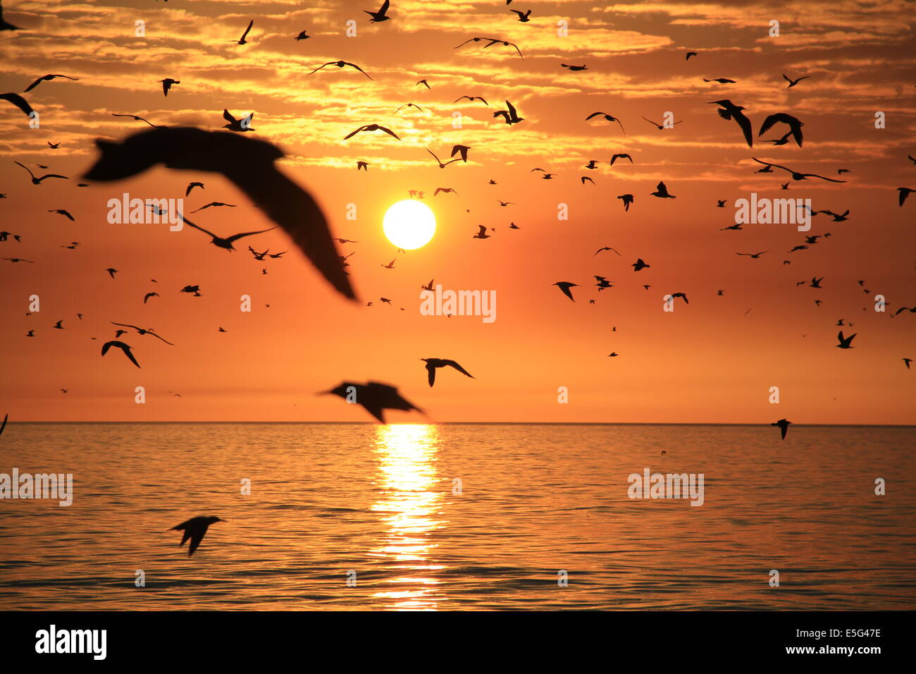 Perfect sunset hi-res stock photography and images - Alamy