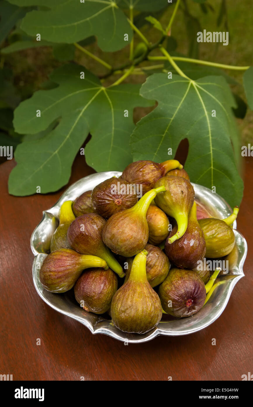 Sweet figs now harvested in my garden Stock Photo - Alamy