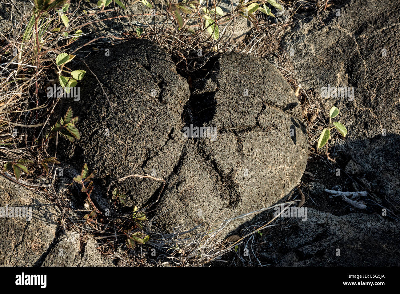 Black lava rock heart hi-res stock photography and images - Alamy
