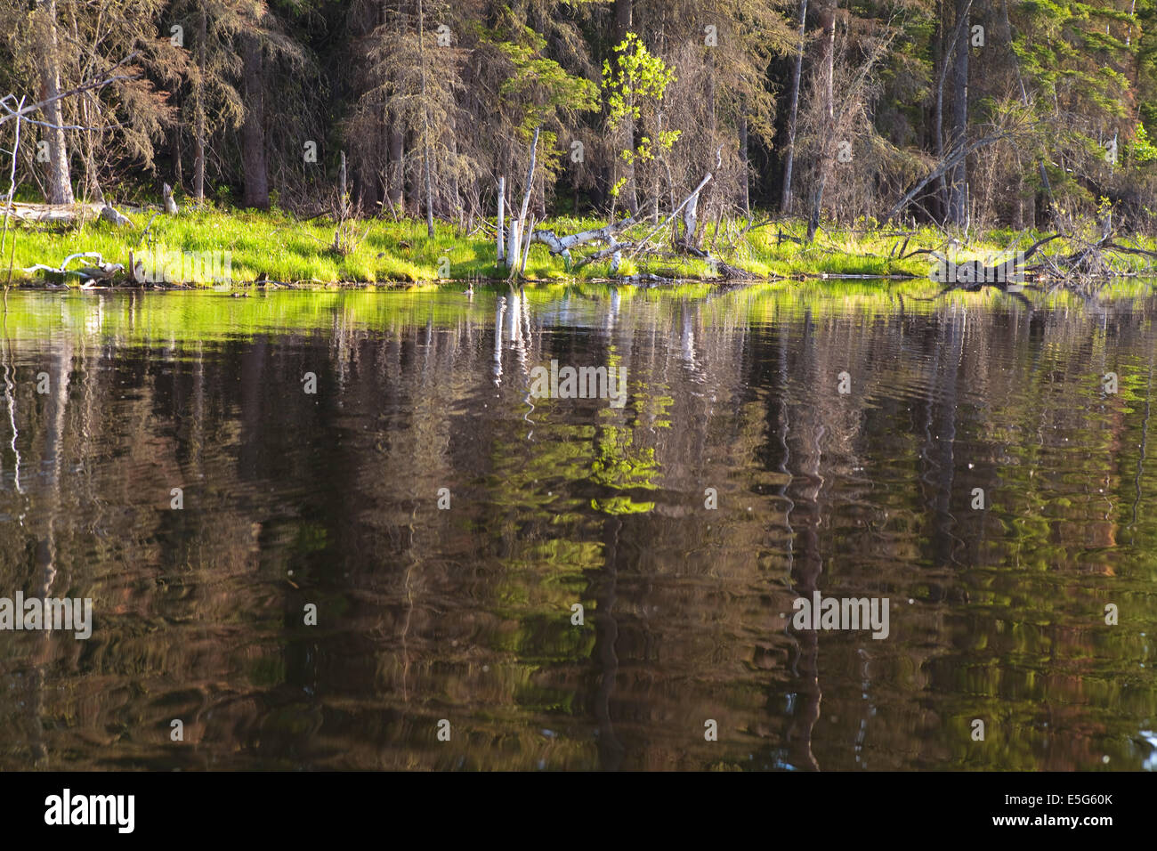 Green lake saskatchewan hi-res stock photography and images - Alamy
