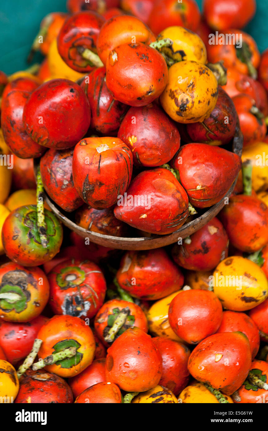 Choco is one of the thirty-two departments of Colombia, is located in ...