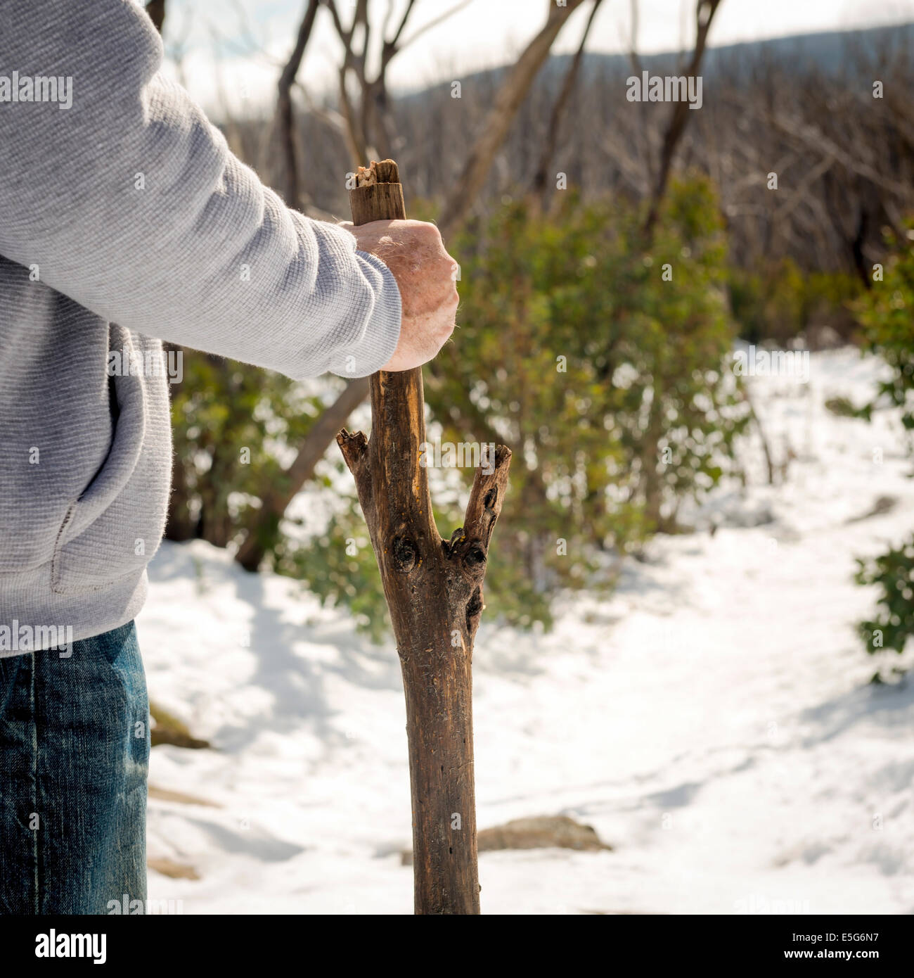 Hand old man walking stick hi-res stock photography and images - Alamy