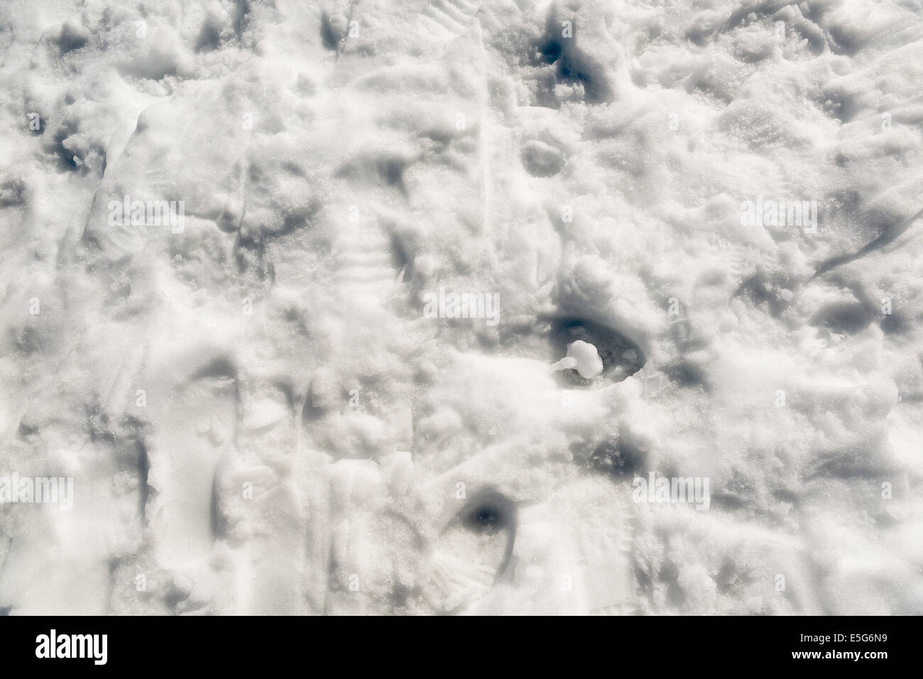 Footprints and bootprints in the snow going in all directions Stock ...