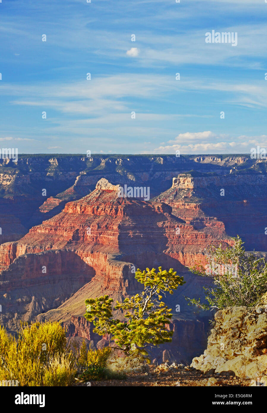Peaks of red rock formations with trees and shrubs in the foreground ...