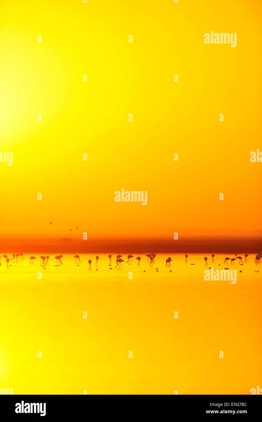 The colors of sunset Cut Out Stock Images & Pictures - Alamy