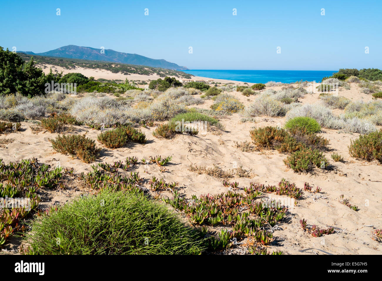 Piscinas beach dunes in Green coast, west Sardinia, Italy Stock Photo ...