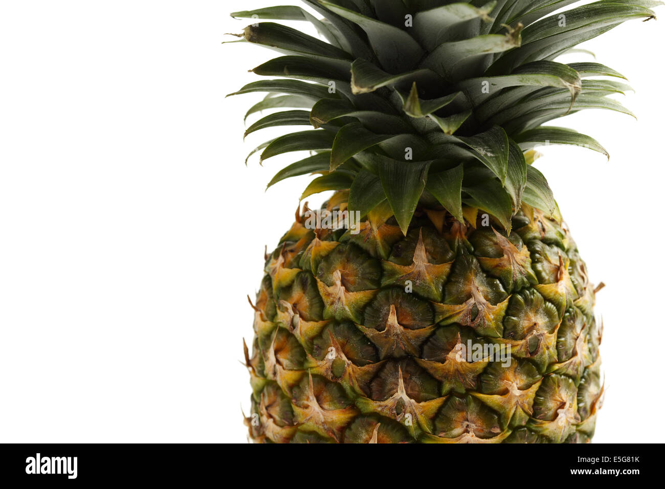 A close-up shot of a single pineapple isolated on a white background ...