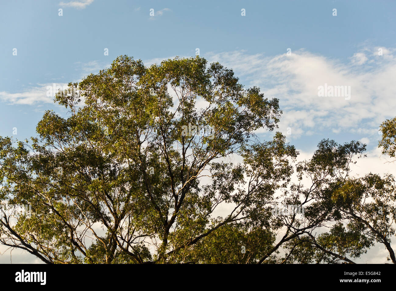 Rural outback hi-res stock photography and images - Alamy