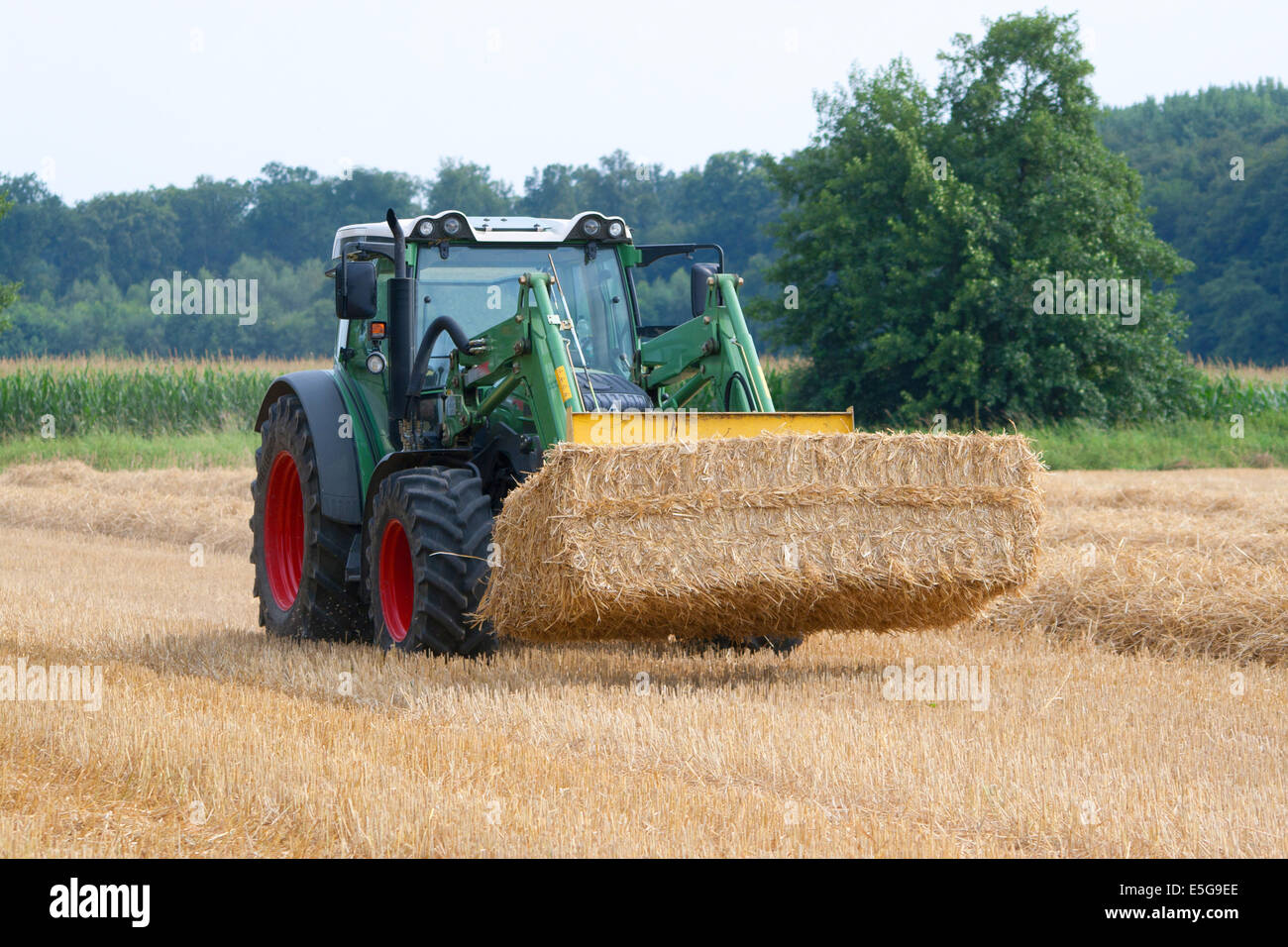 Trecker Traktor Stroh Strohballen Strohernte Weizen Roggen Gerste Feld ...