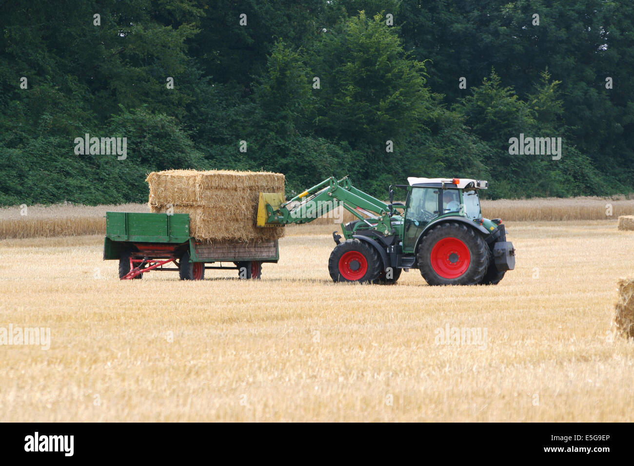 Trecker Traktor Stroh Strohballen Strohernte Weizen Roggen Gerste Feld ...