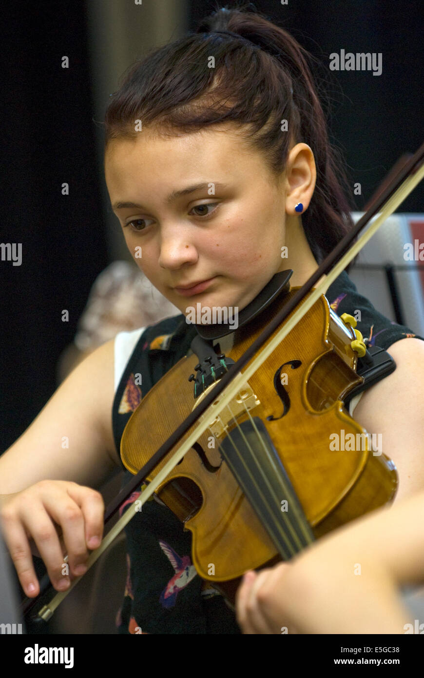 Playing string instruments hi-res stock photography and images - Alamy