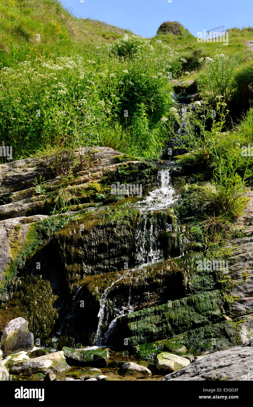 Trickling brook hi-res stock photography and images - Alamy