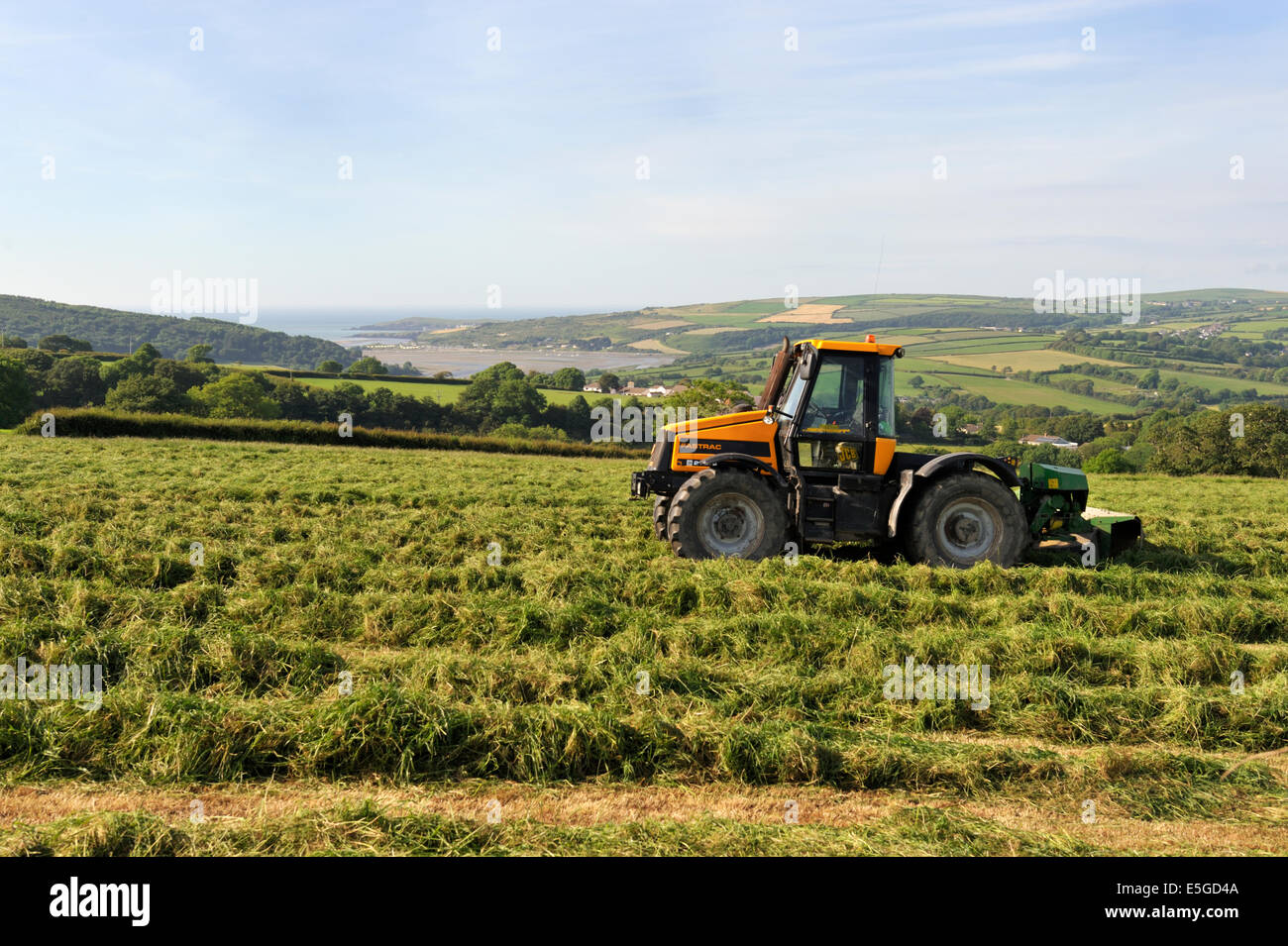 Agricultural field with hay racked to aid drying with tractor equipped ...
