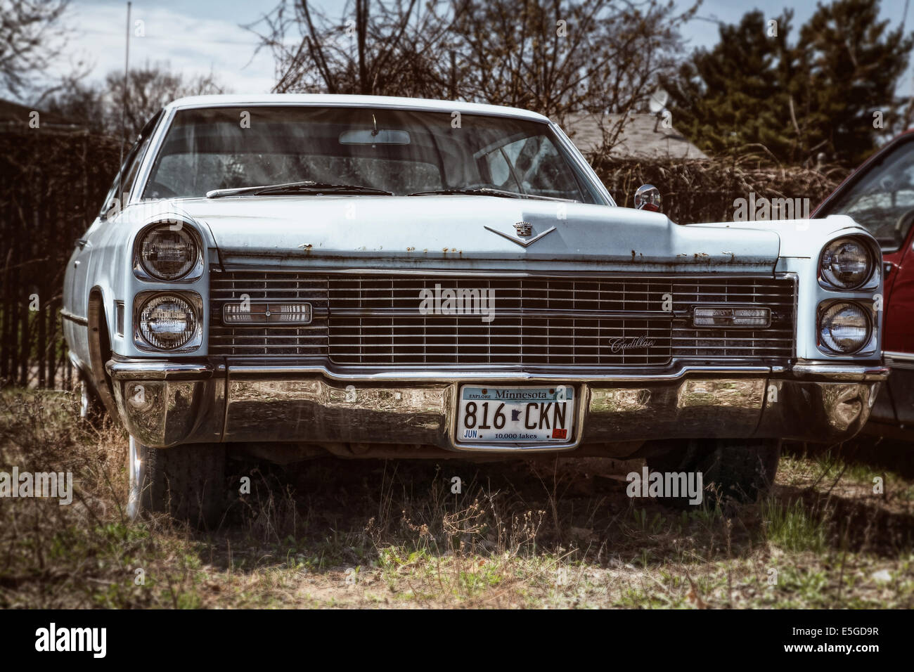 The front of an old rusting Cadillac, left in a yard in Minneapolis ...