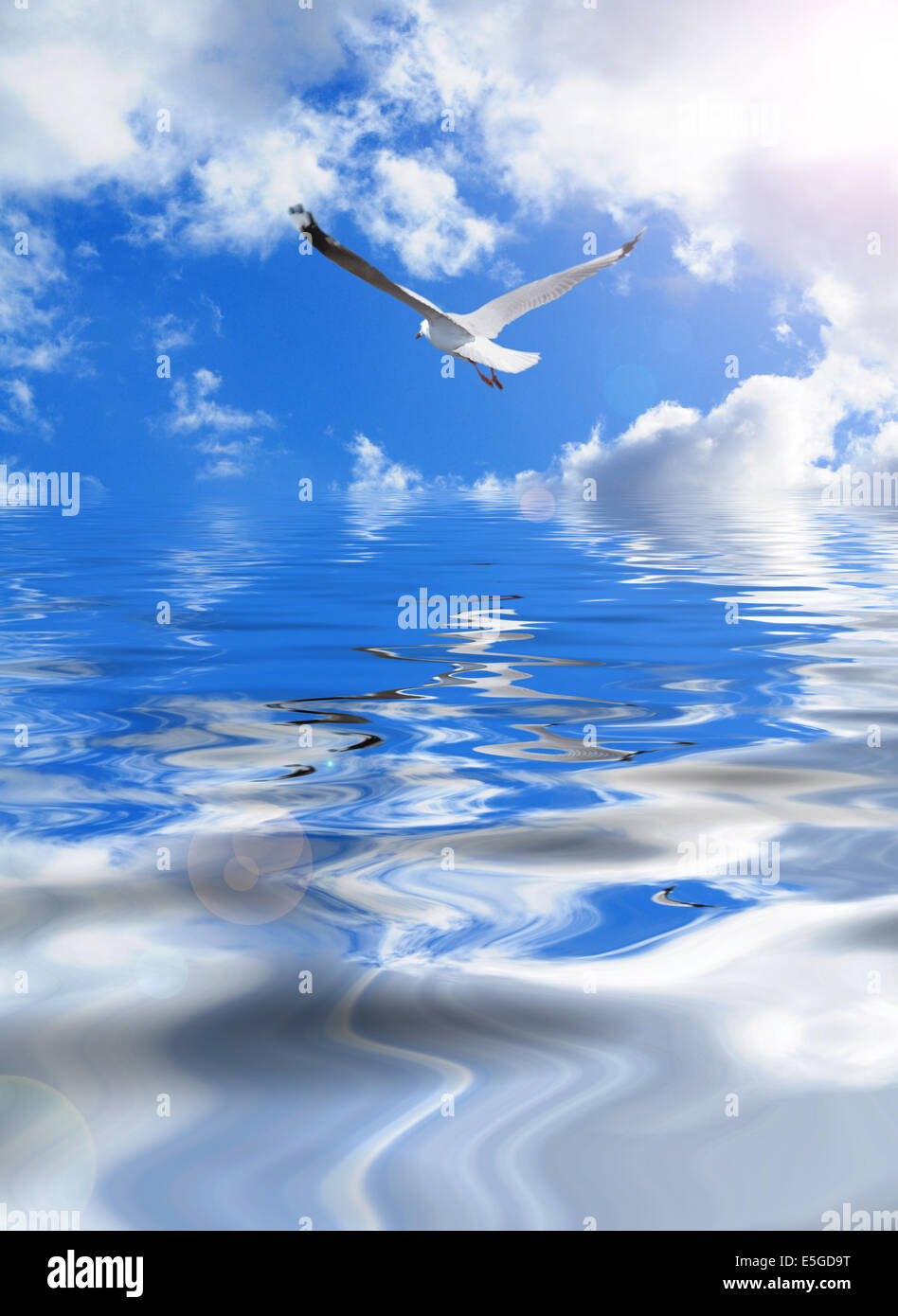 Hovering over the horizon hi-res stock photography and images - Alamy