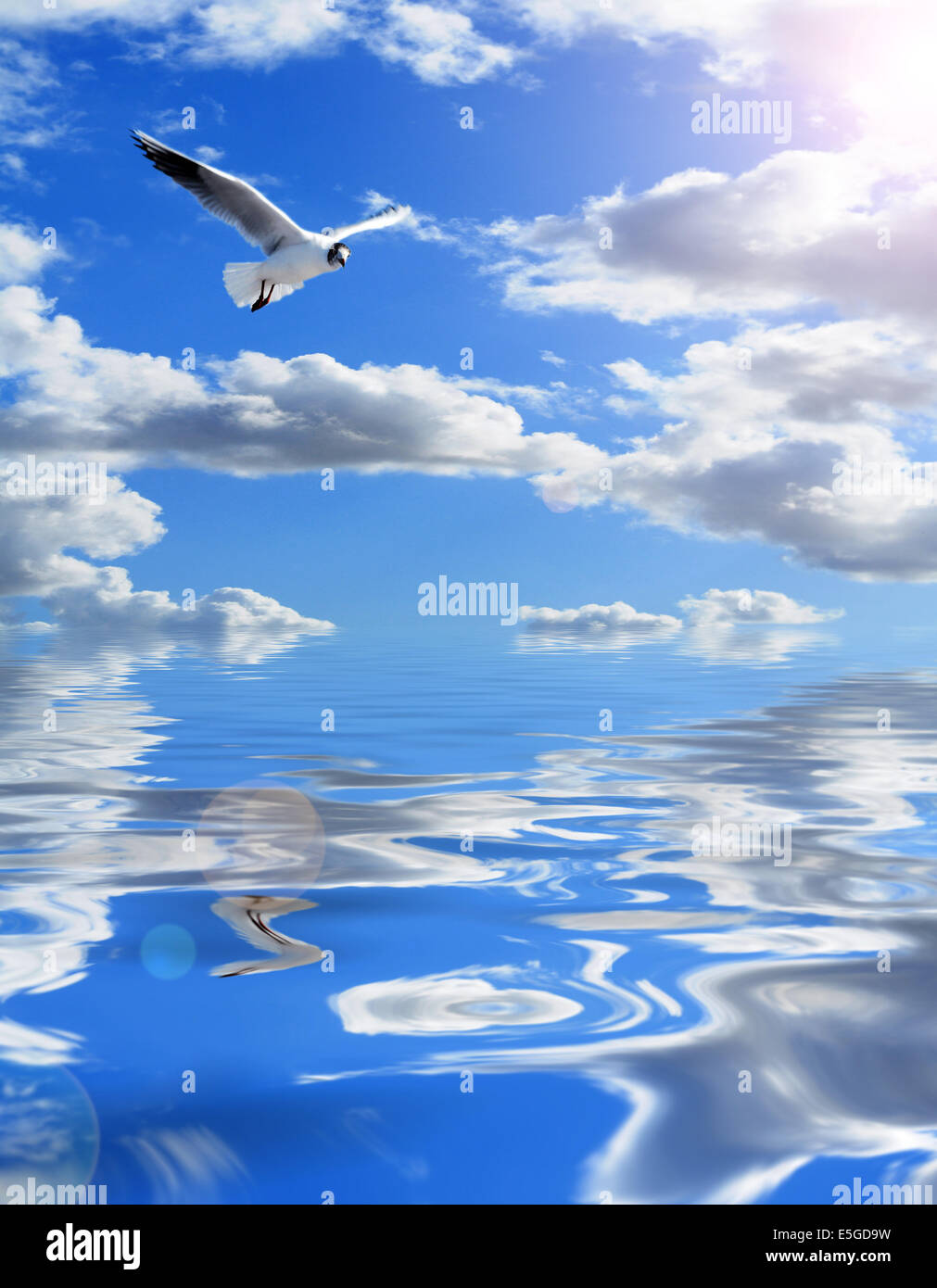 Hovering over the horizon hi-res stock photography and images - Alamy