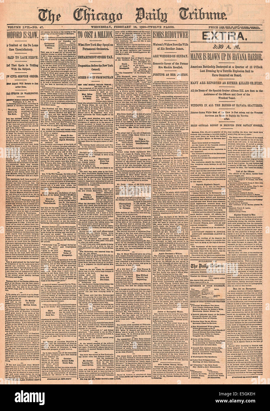The Daily Tribune Logo