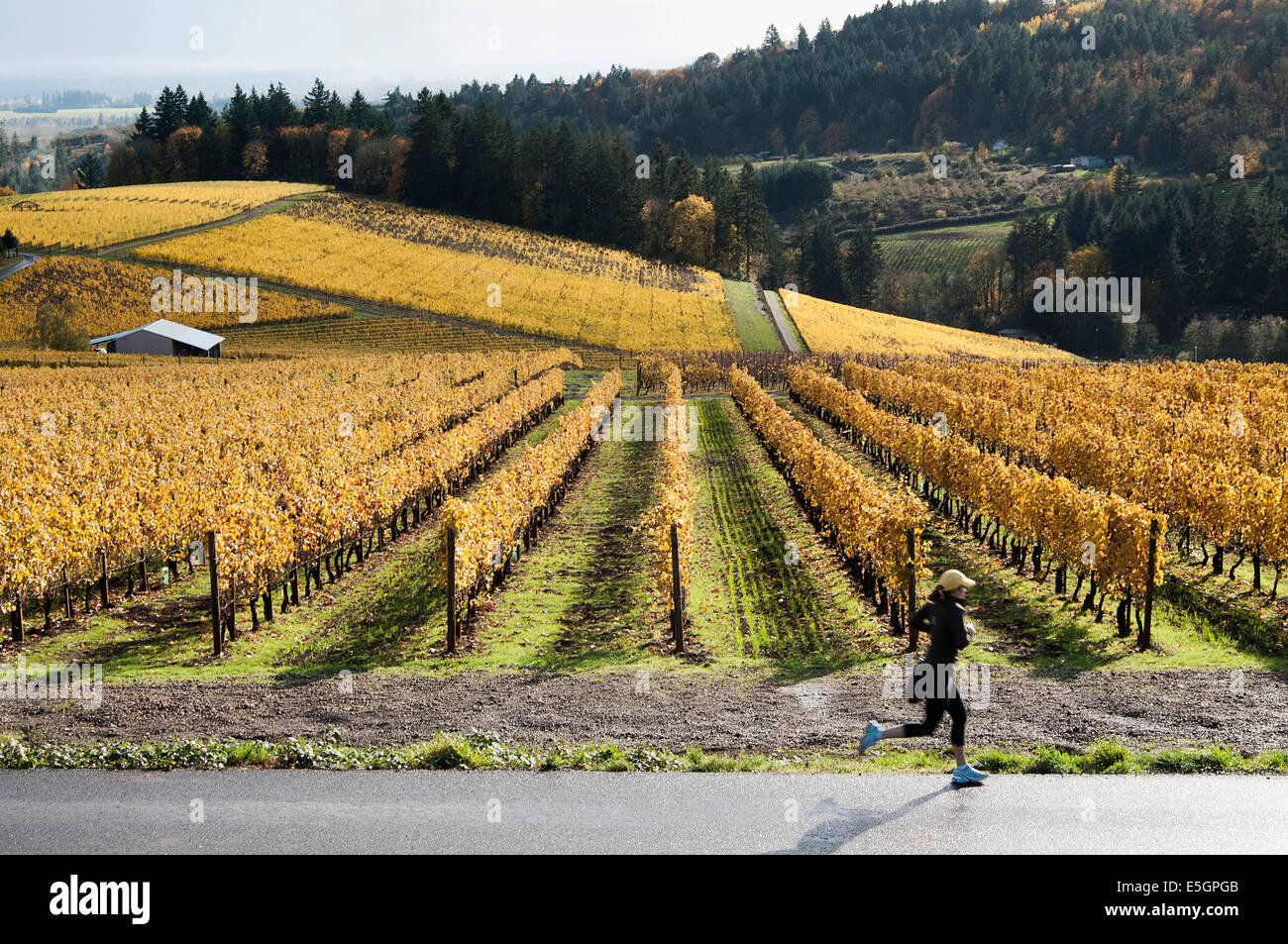 Wine country wine country hi-res stock photography and images - Alamy
