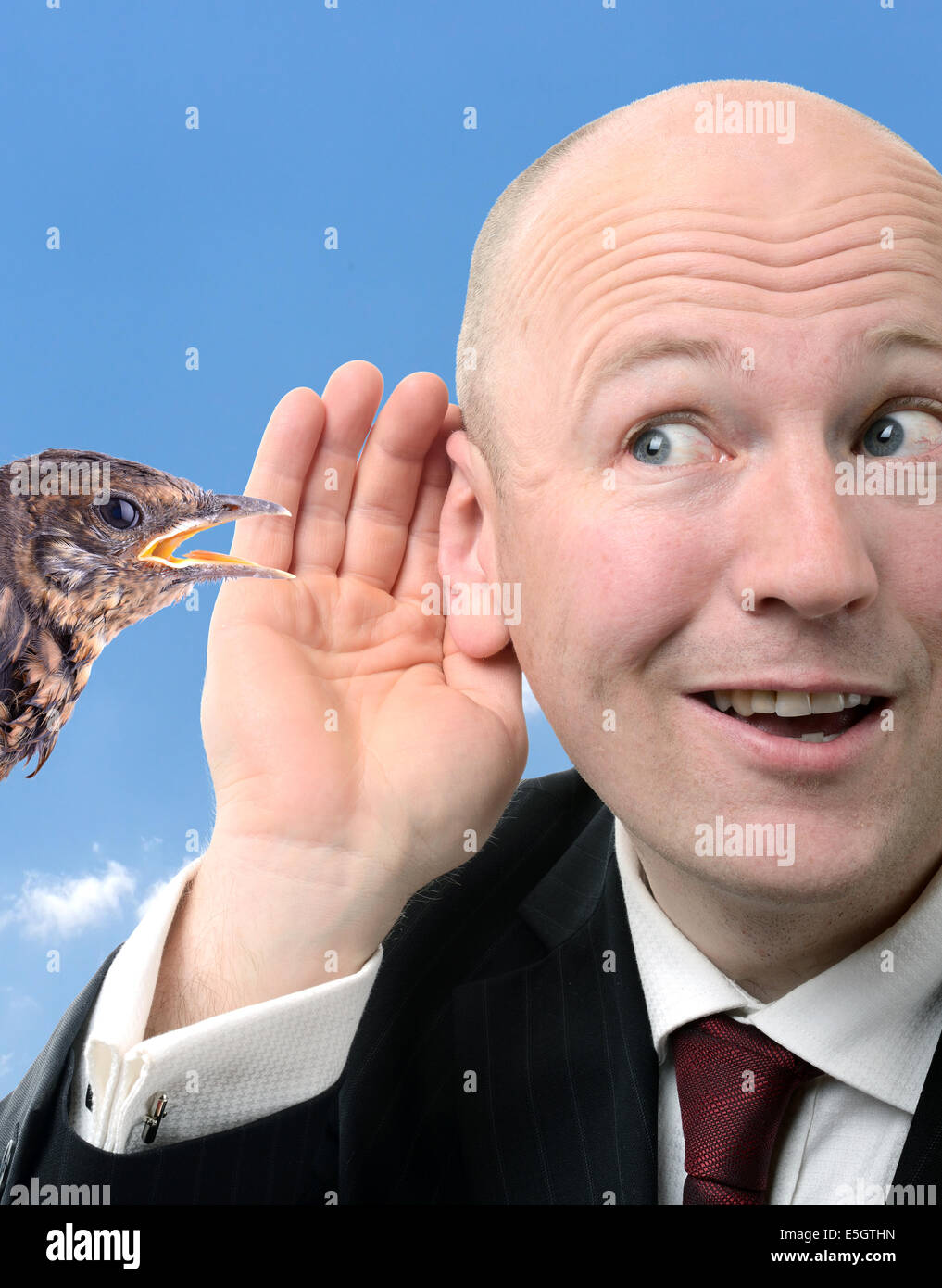 concept for a secret saying a little bird told me Stock Photo - Alamy