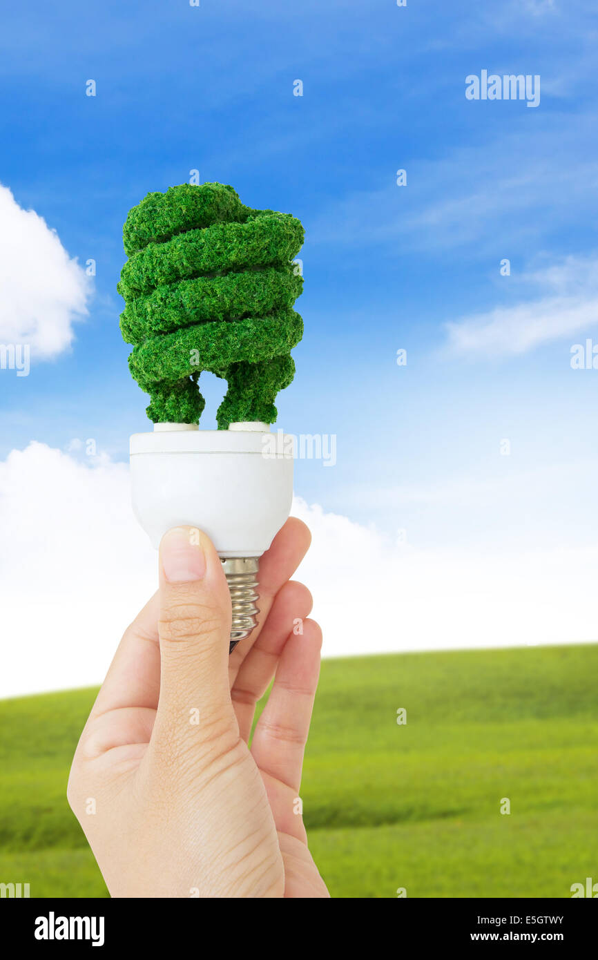 eco light bulb energy concept Stock Photo - Alamy