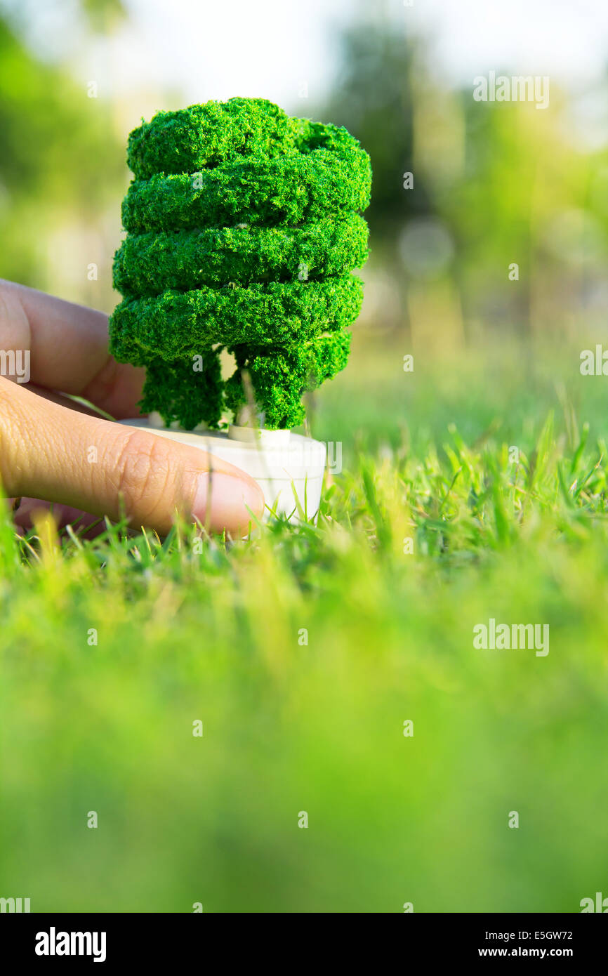 hand holding eco light bulb energy concept Stock Photo - Alamy