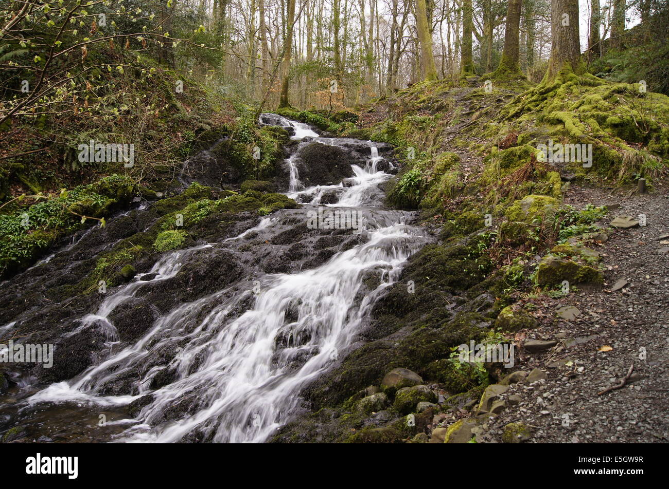 Millerground Woods waterfall, Windermere Stock Photo - Alamy