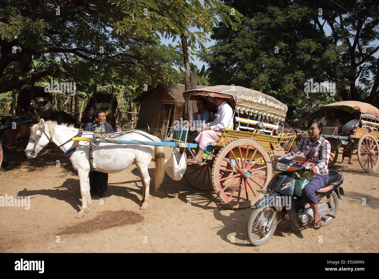 Woman horse carriage hi-res stock photography and images - Alamy