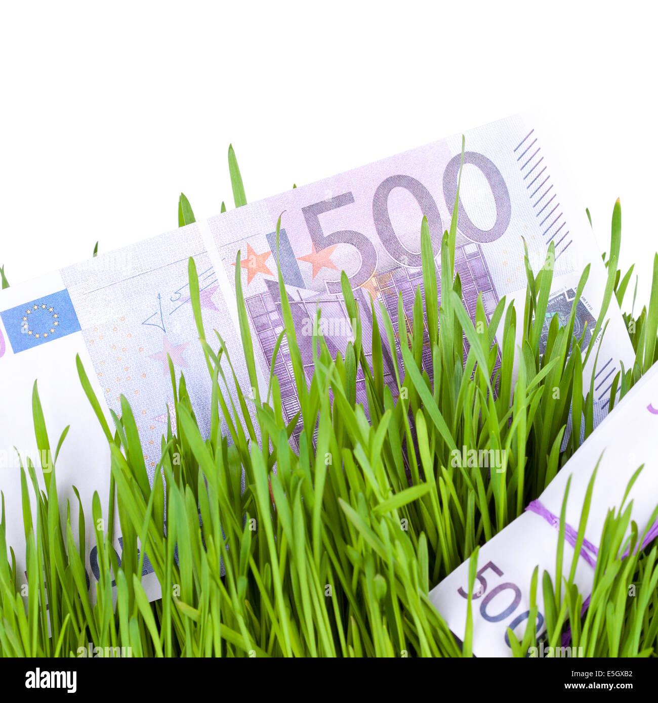 Money on the grass hi-res stock photography and images - Alamy