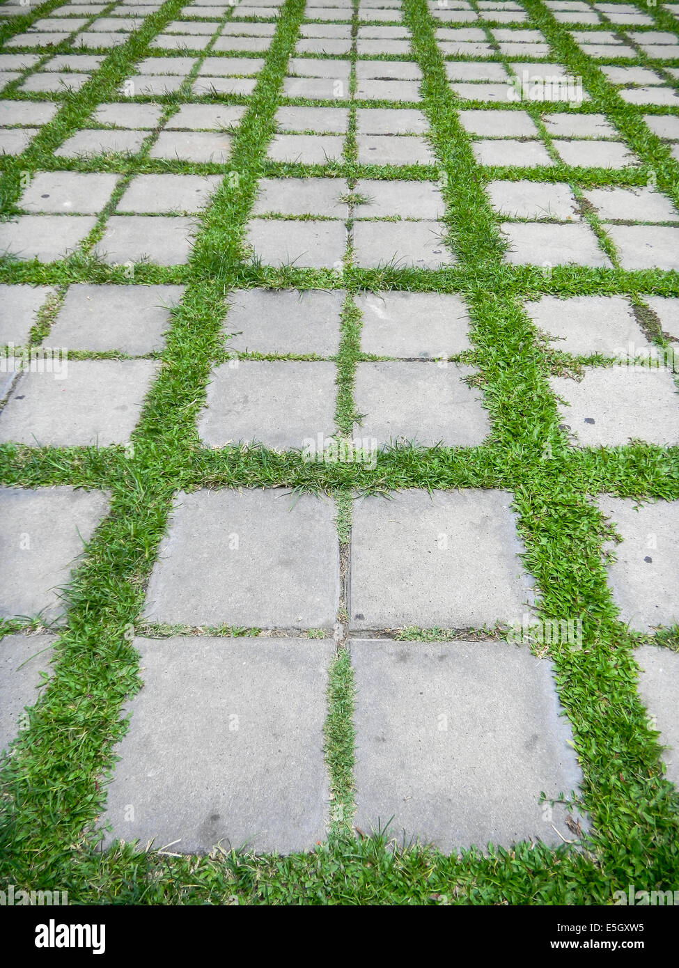 Green grass pavement walkway hi-res stock photography and images - Alamy
