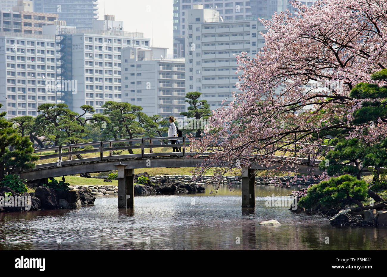 Hama-rikyu gardens, Tokyo, Japan Stock Photo - Alamy