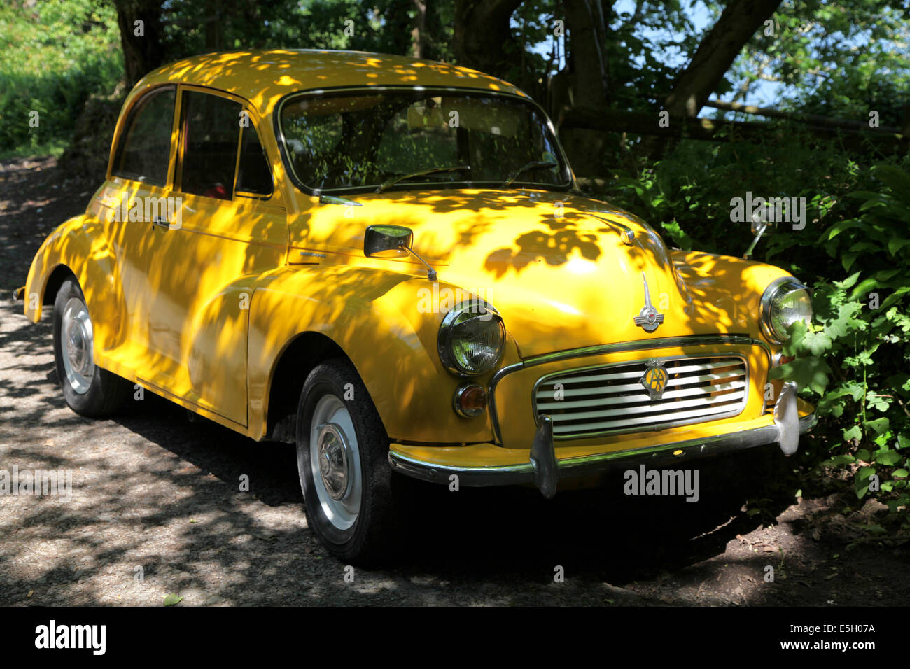 A beautiful old chrome yellow Morris Minor in perfect condition, parked ...