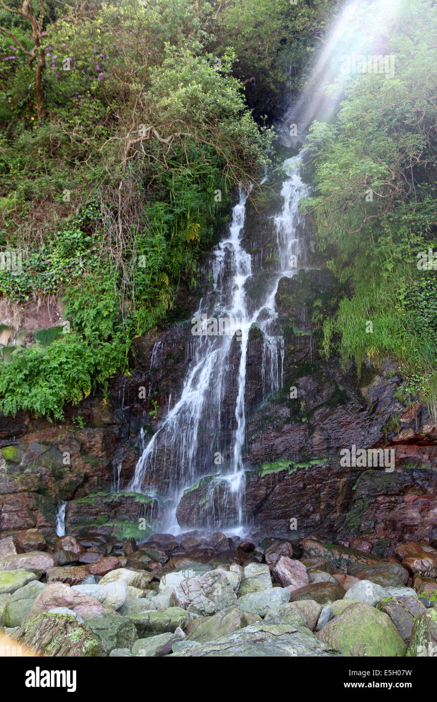 Devon waterfall hi-res stock photography and images - Alamy