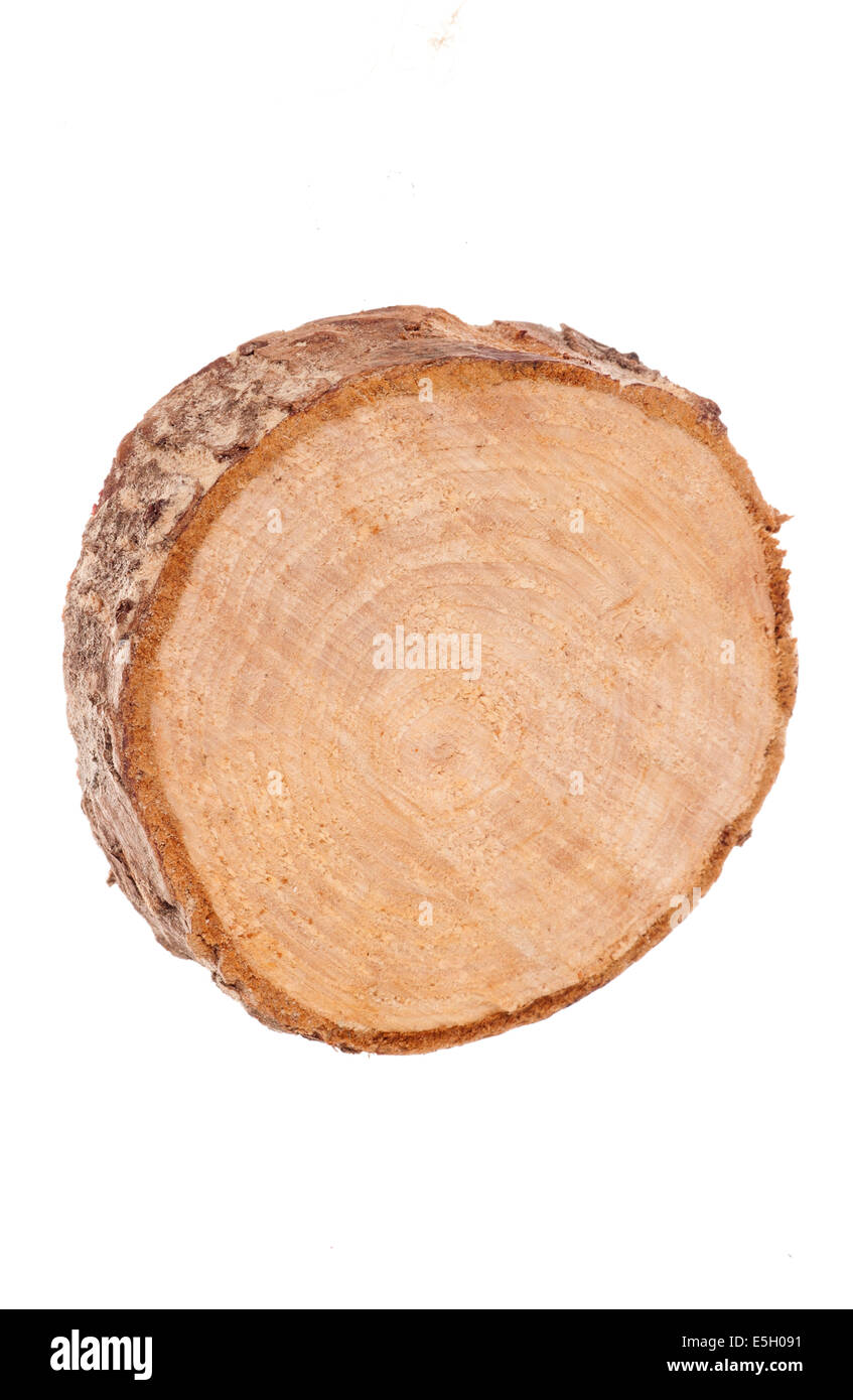 chopped log isolated on white background Stock Photo - Alamy